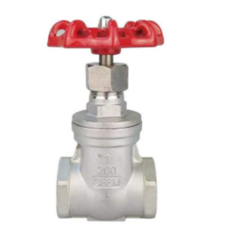 Stainless Steel Gate Valve Two Way Female Thread Water Supply Manual ...